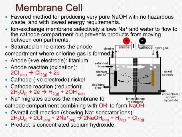 Manufacturing of Sodium Hydroxide | PPTX | Chemistry | Science