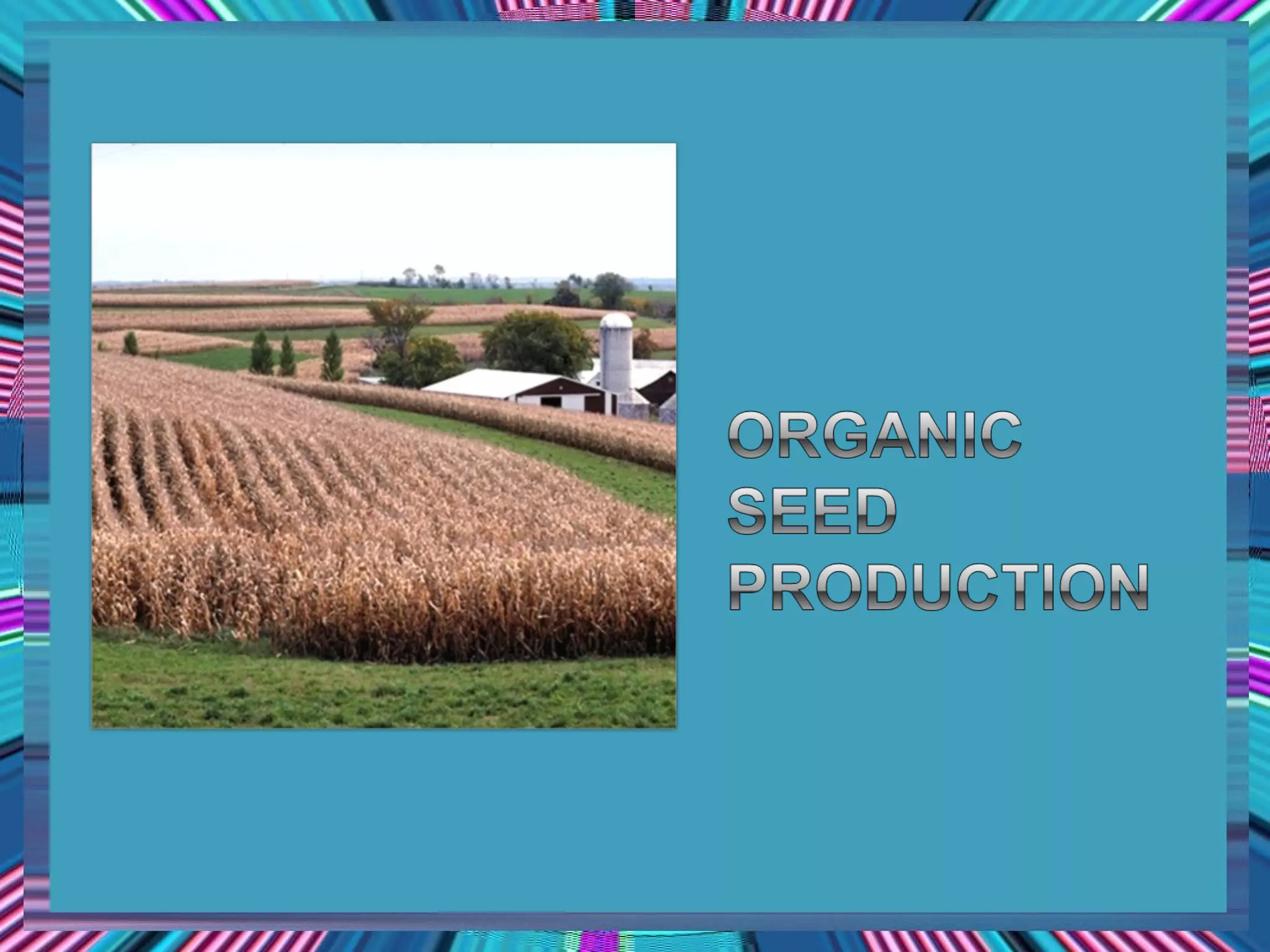 Organic Seed Production | PPT