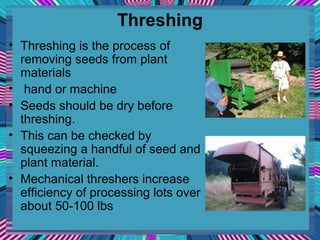 Organic Seed Production | PPT