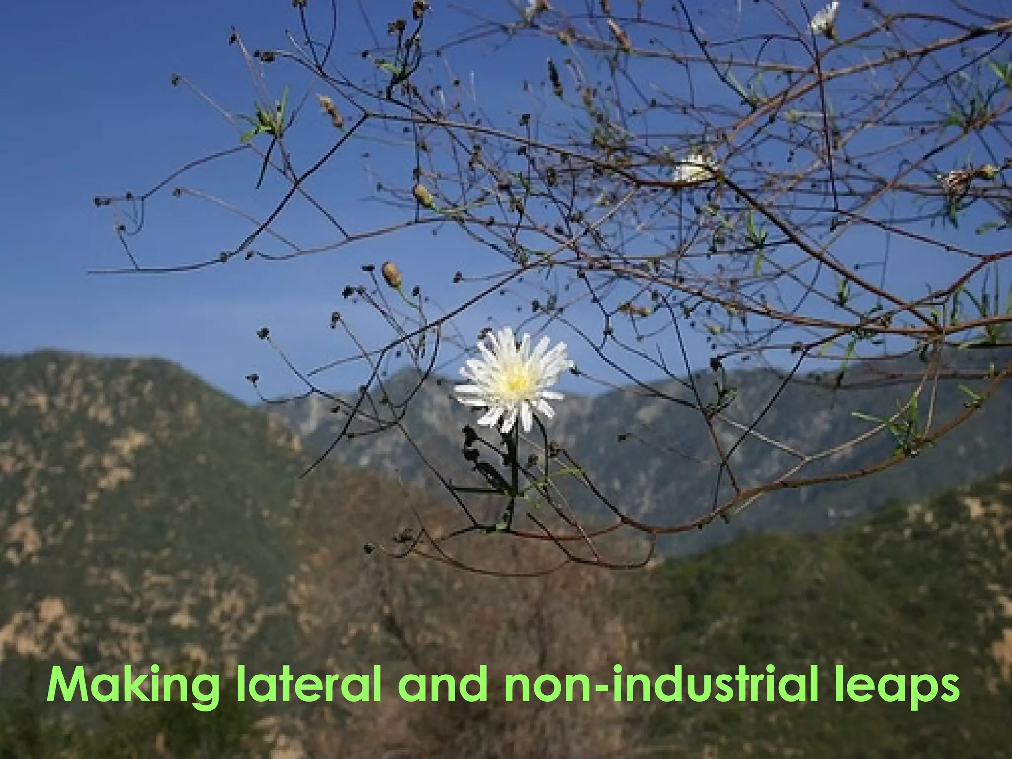 Organic Planning | PPT