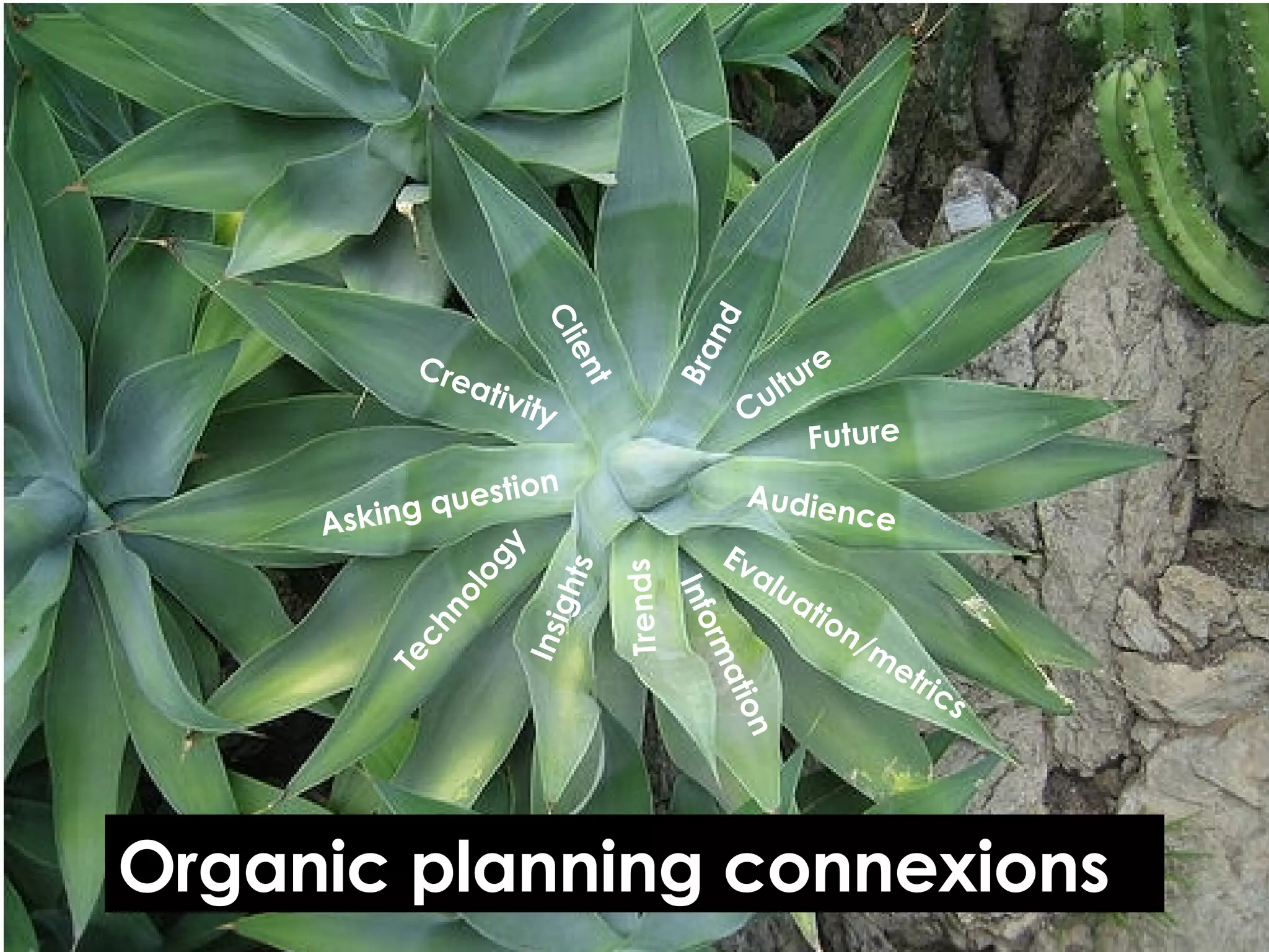 Organic Planning | PPT