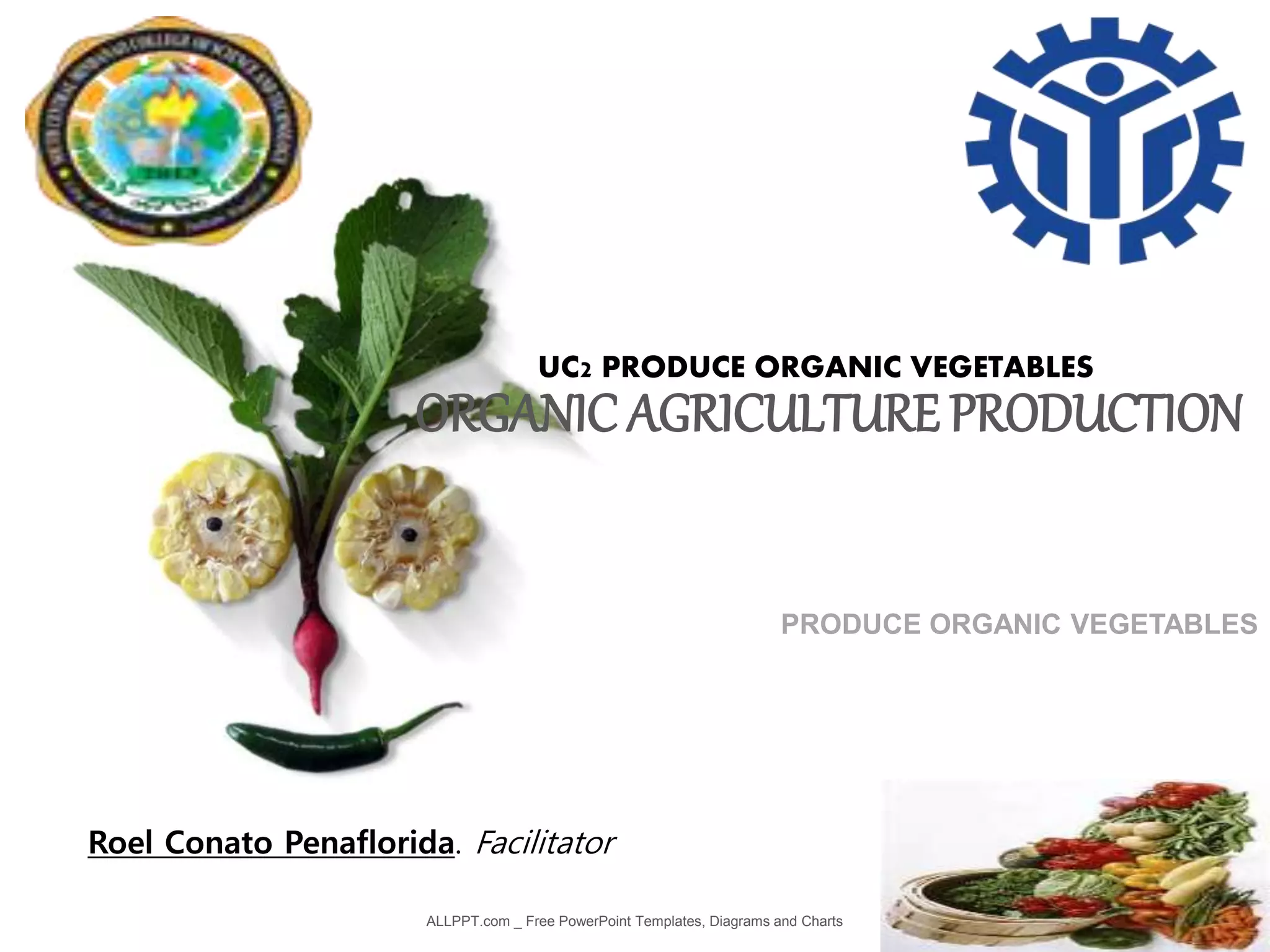 Organic vegetables-food-power point-templates-standard | PPTX
