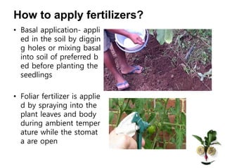 Organic vegetables-food-power point-templates-standard | PPTX