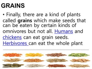 Organic vegetables-food-power point-templates-standard | PPTX