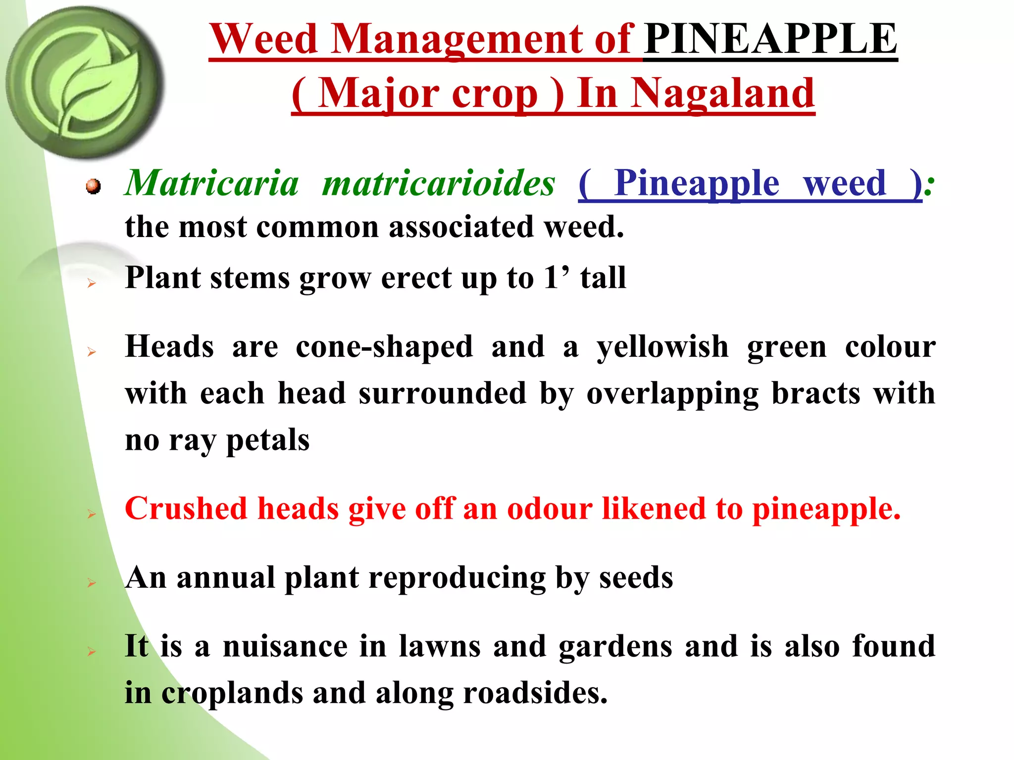 Organic weed-management | PPTX