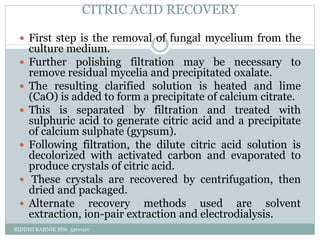 production and downstream process of Organic acids-citric and lactic ...