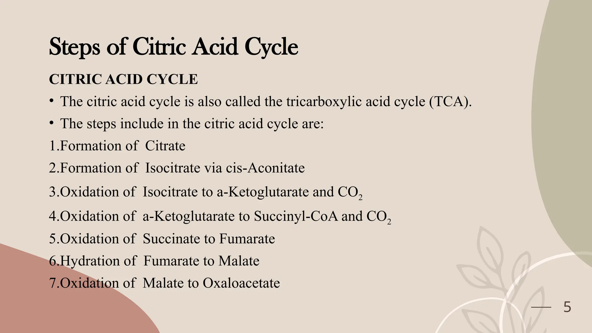 Organic acids-Citric acid production ppt | PPTX