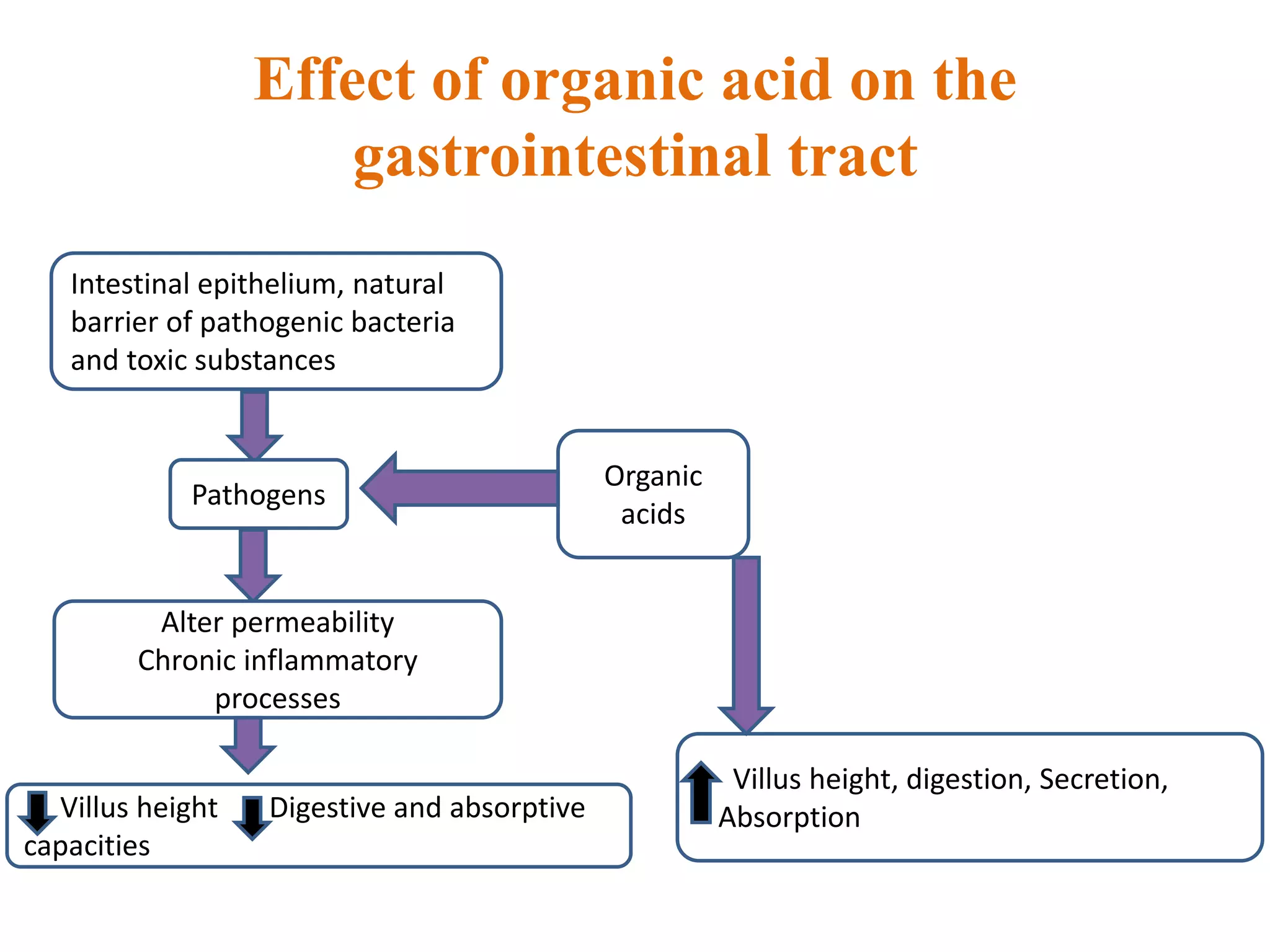 Organic acids in monogastric nutrition | PPTX
