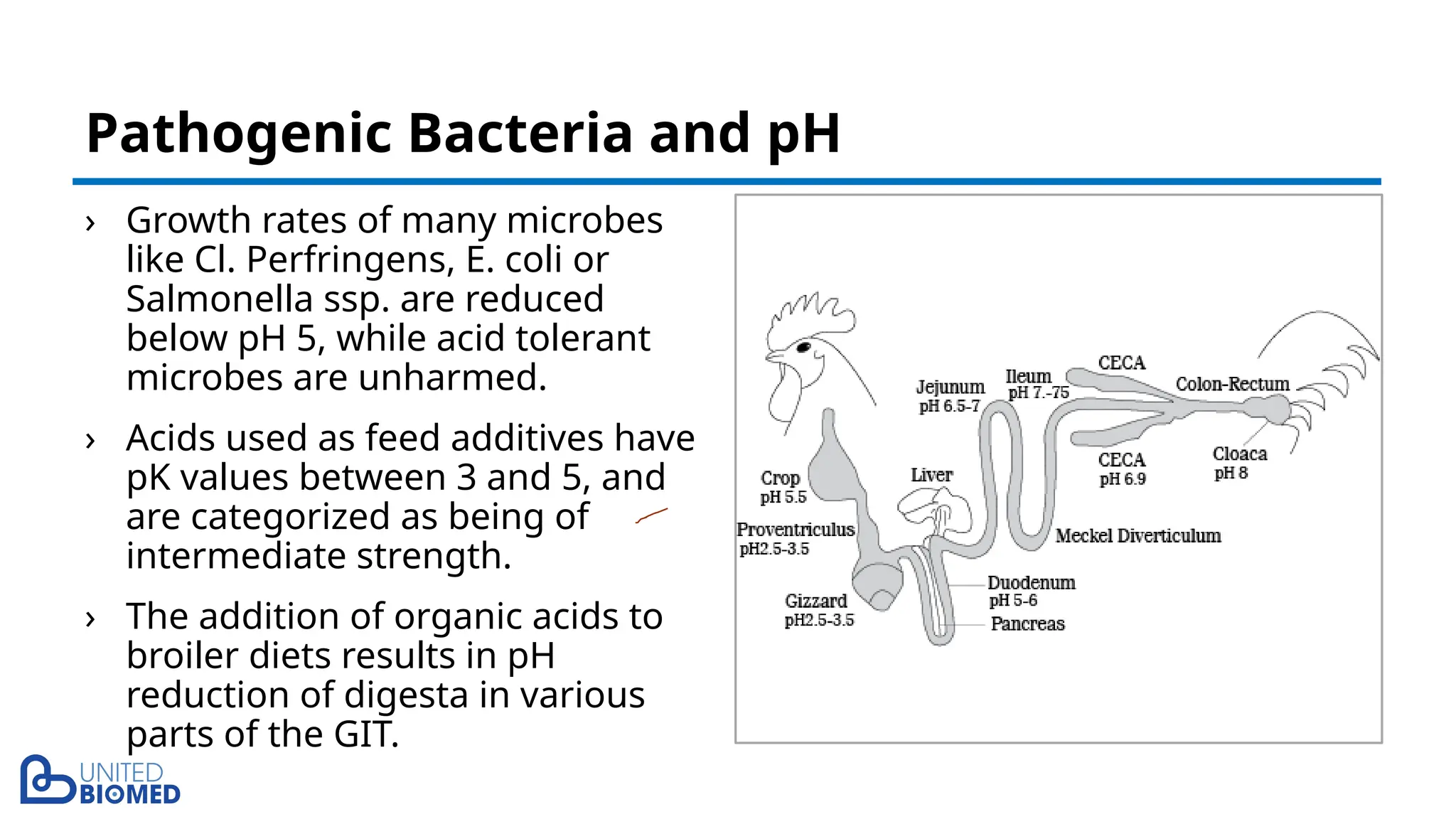 Organic Acids / Fatty Acids in Poultry Nutrition.pptx | Chemistry | Science