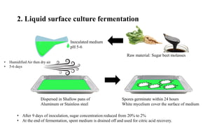 Organic acids production copy | PDF