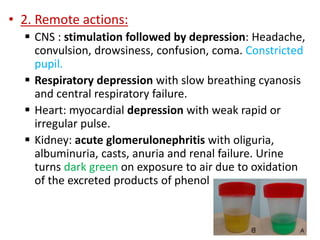 Organic Acids Toxicity | PPTX