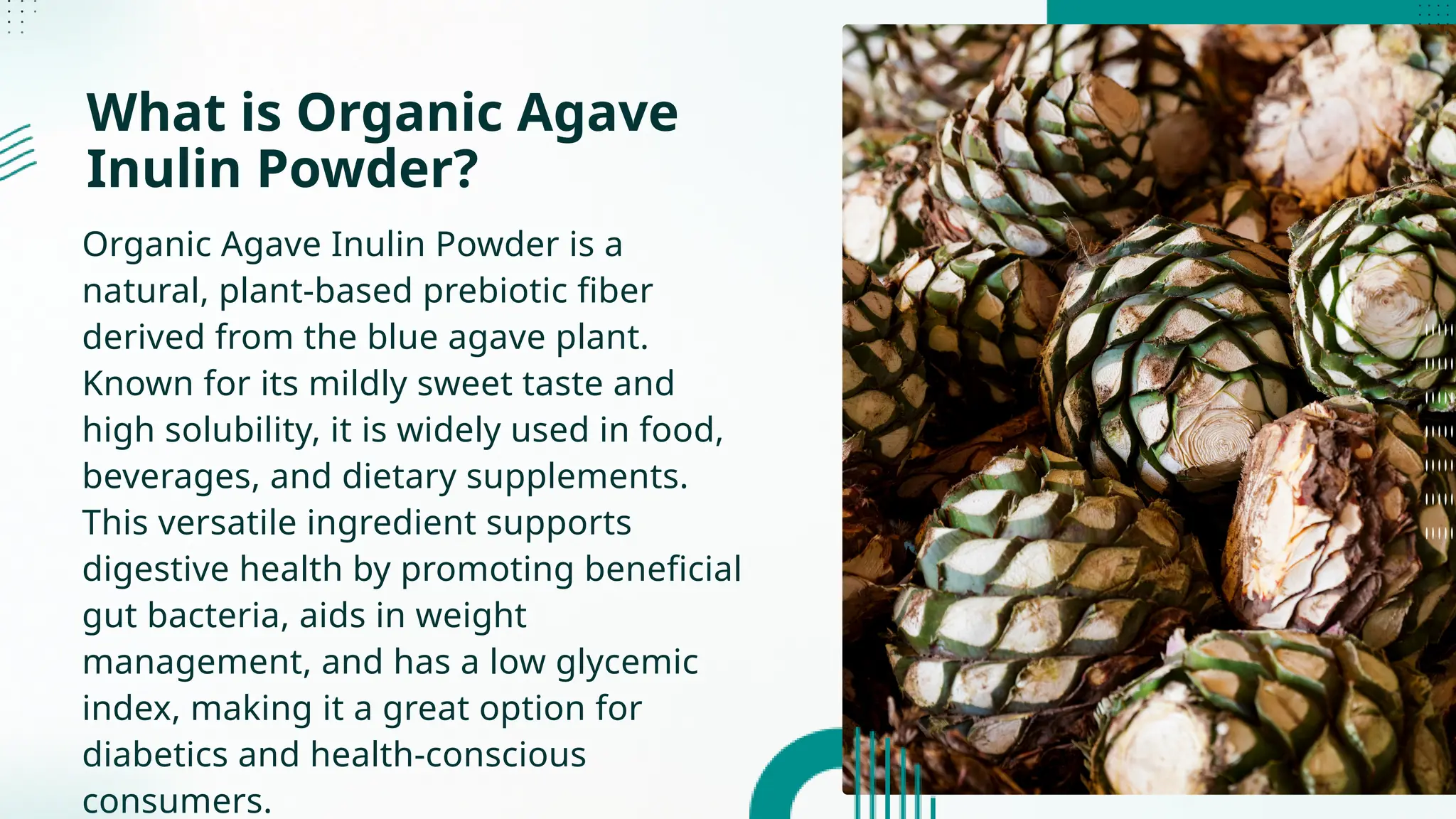 Organic Agave Inulin Powder .pptx