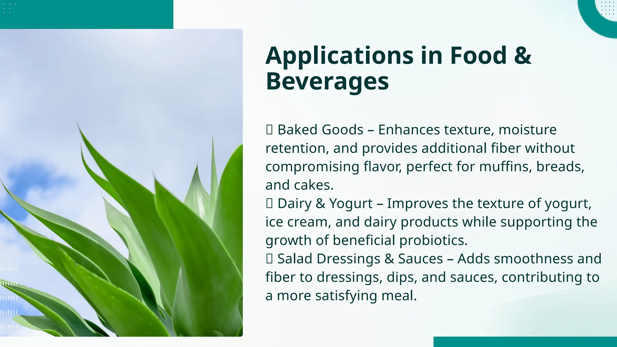 Organic Agave Inulin Powder .pptx