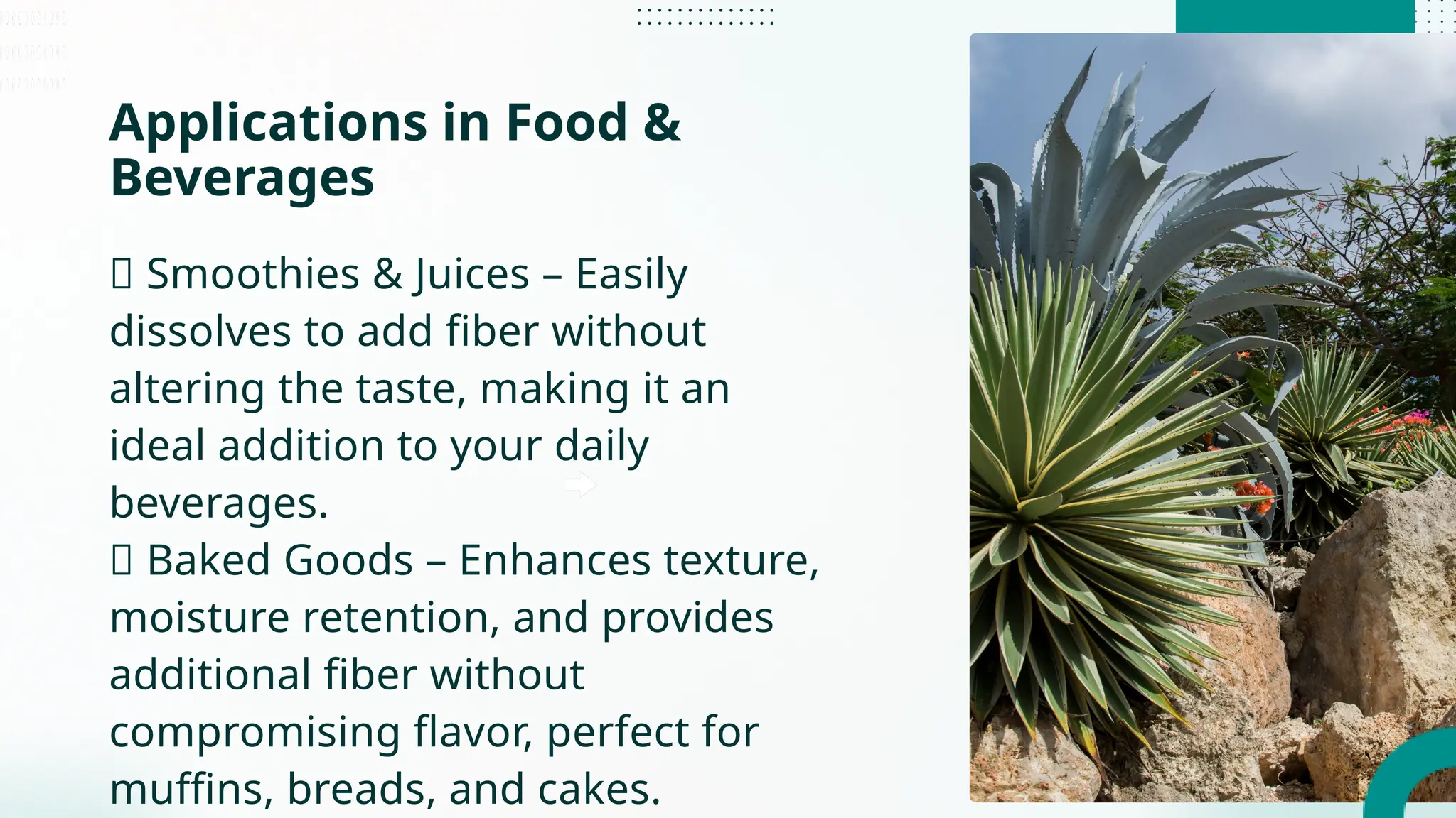 Organic Agave Inulin Powder .pptx