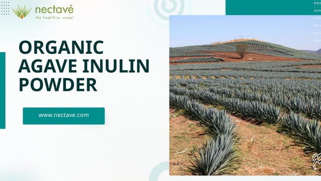 Organic Agave Inulin Powder .pptx