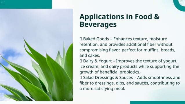 Organic Agave Inulin Powder .pptx