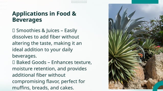 Organic Agave Inulin Powder .pptx