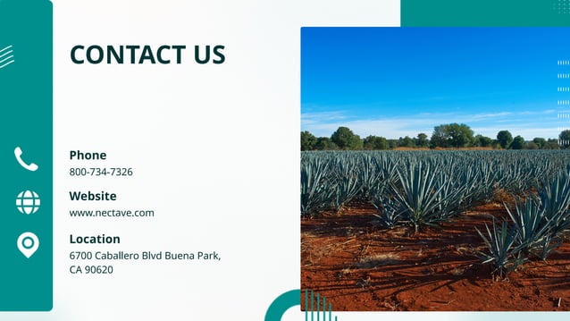 Organic Agave Inulin Powder .pptx