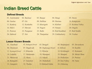 Organic agri and cow bhopal 2009 | PPT