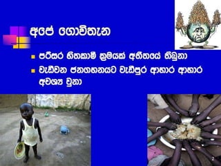 Organic agriculture | PPSX