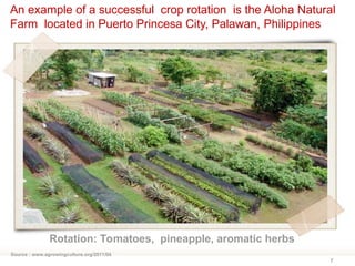 Organic agriculture ASEAN_final powerpoint presentation | PPT