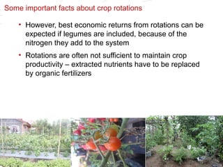 Organic agriculture ASEAN_final powerpoint presentation | PPT