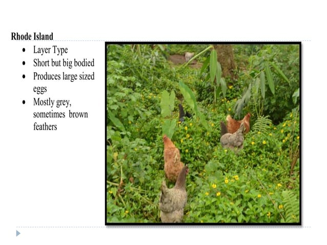 ORGANIC AGRICULTURE PRODUCTION NC II.pptx