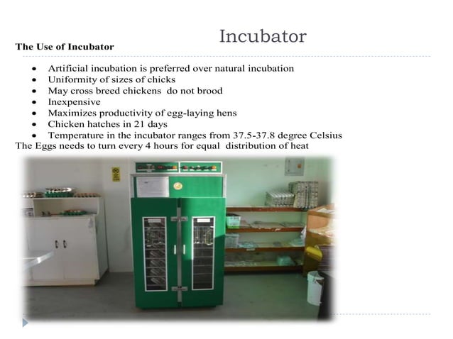 ORGANIC AGRICULTURE PRODUCTION NC II.pptx