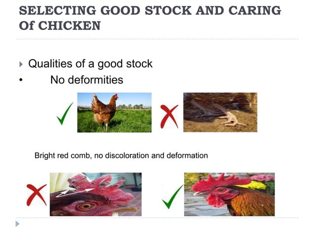 ORGANIC AGRICULTURE PRODUCTION NC II.pptx