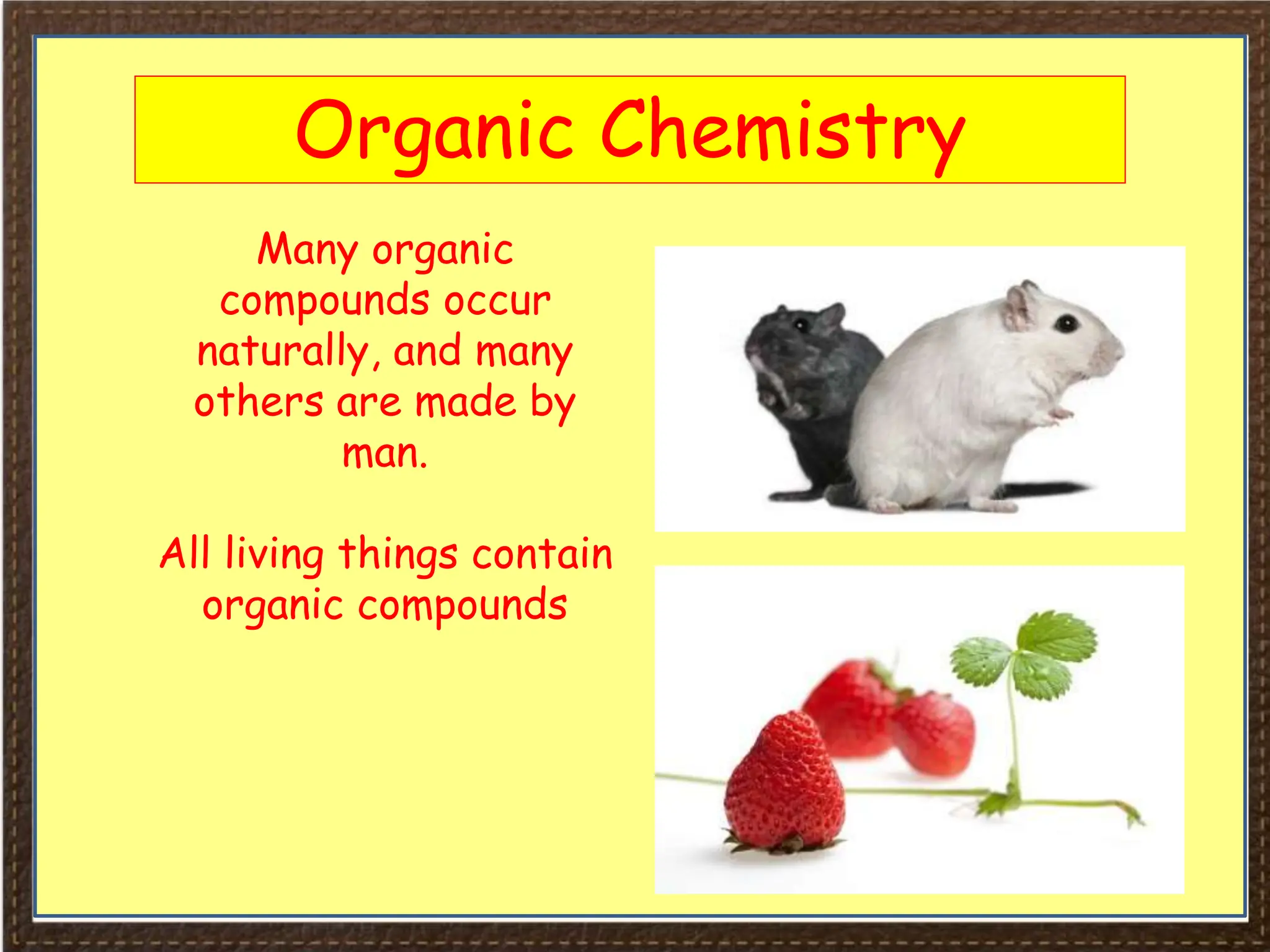 organic (alkanes).ppt