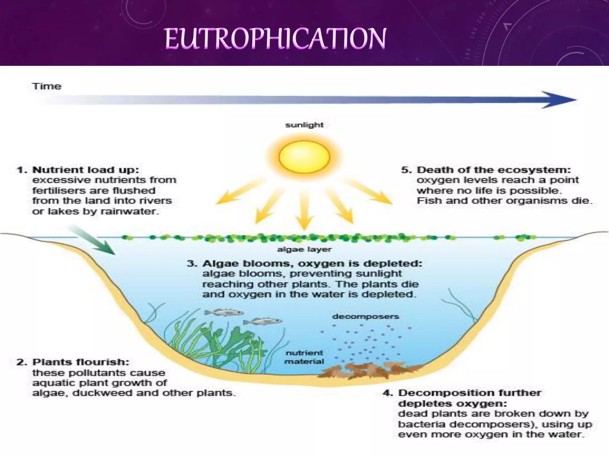 Organic and inorganic Pollutants in Soil by Abdul Aleem Memon. | PPTX