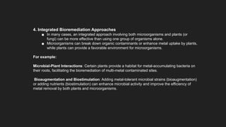 Bioremediation organic and synthetic amendments.ppt