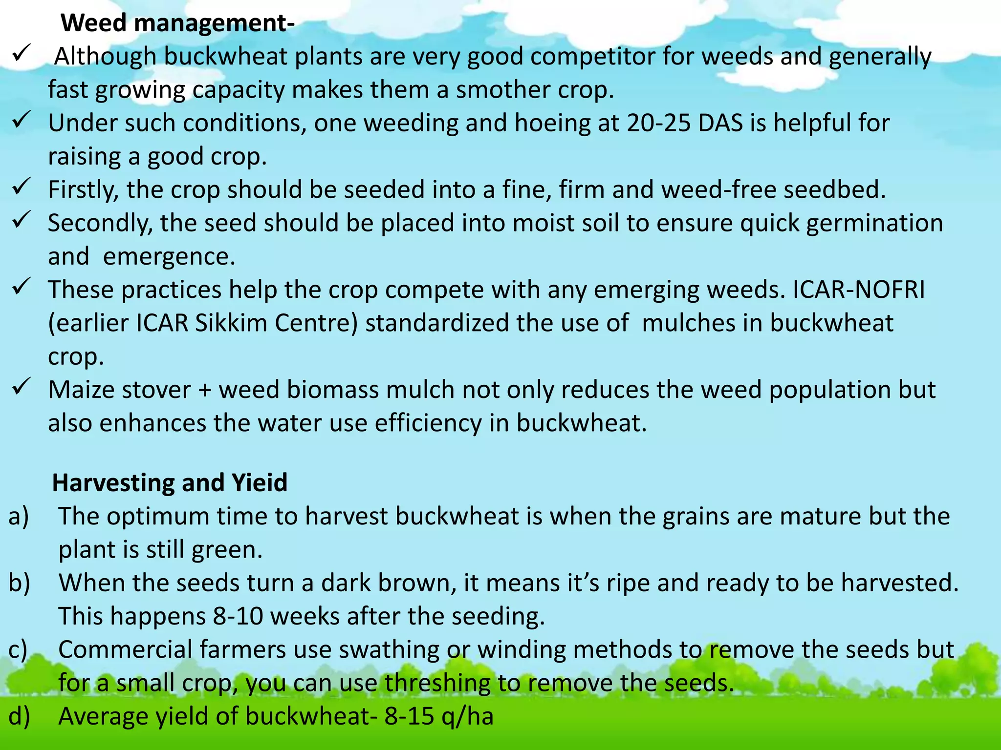 ORGANIC BUCKWHEAT CULTIVATION.pptx
