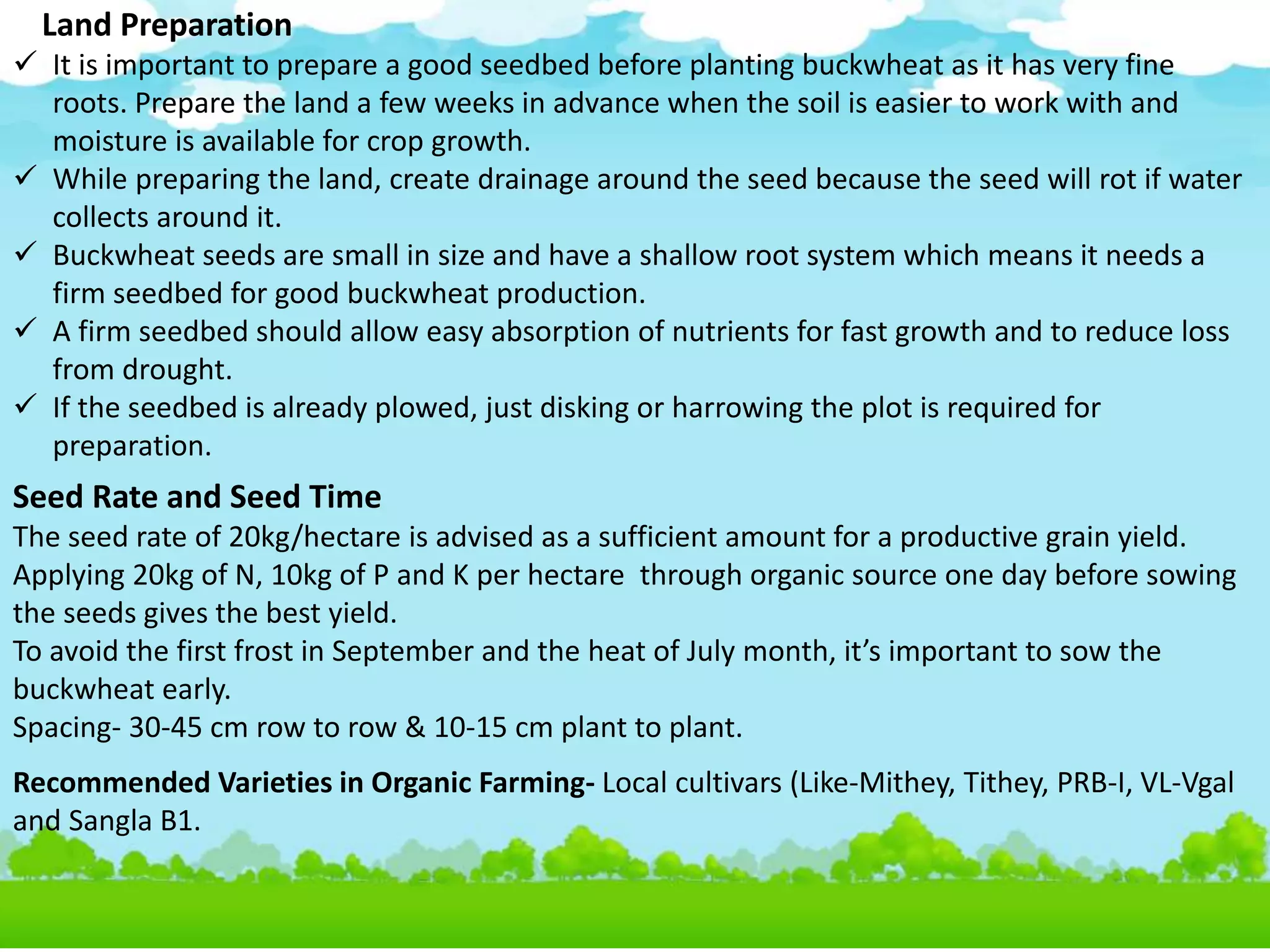 ORGANIC BUCKWHEAT CULTIVATION.pptx