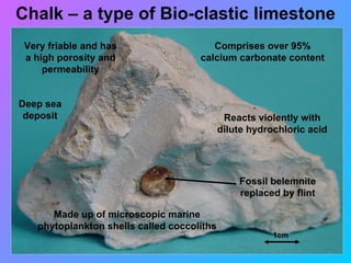 Organic chemical sedimentary_rockssmall | PPT
