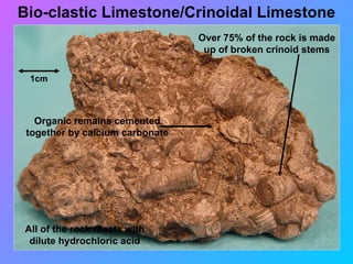 Organic chemical sedimentary_rockssmall | PPT