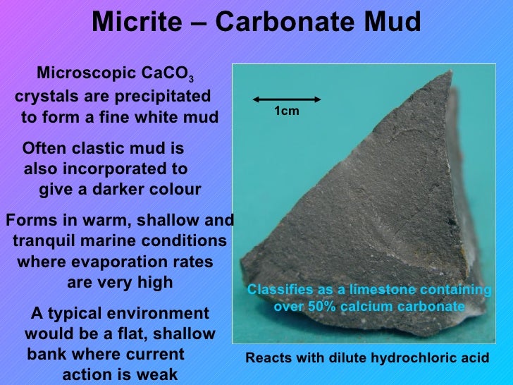 Organic chemical sedimentary_rockssmall
