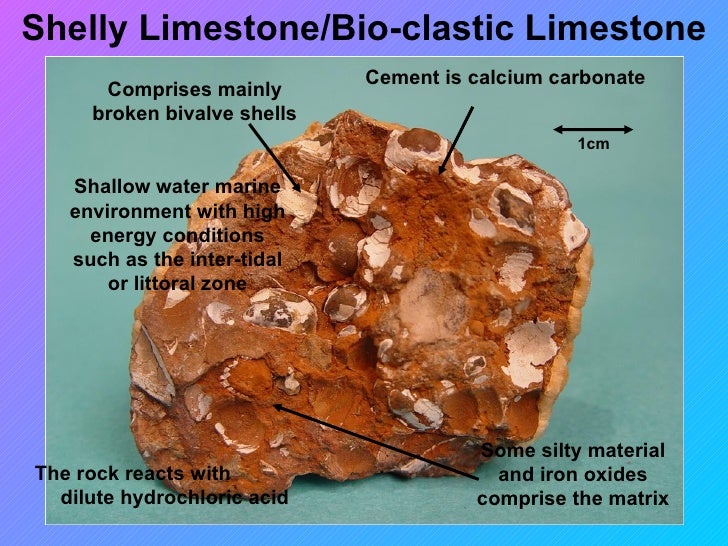 Organic chemical sedimentary_rockssmall