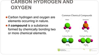 Organic Chemistry.pptx
