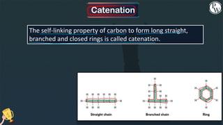 Organic Chemistry 02 _ Class Notes __ (Victory 2023).pdf