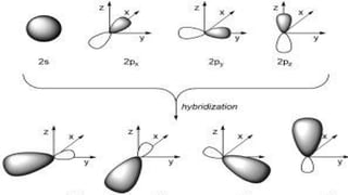 Organic Chemistry hybridization and concepts(1)(1).pptx