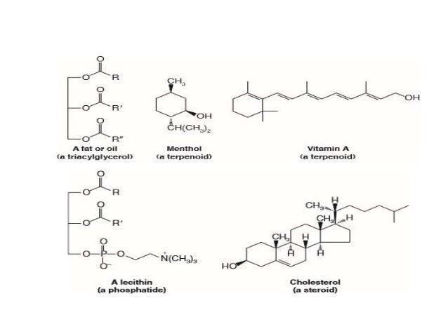 [Organic Chemistry II] Lipids