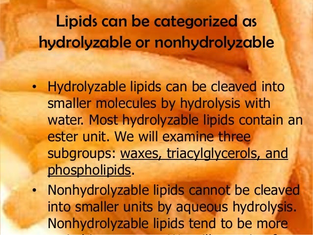 [Organic Chemistry II] Lipids