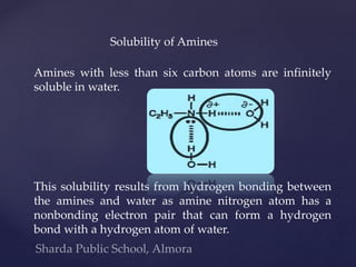 Organic chemistry (Amines), Sharda Public School, Almora U.K. | PPTX
