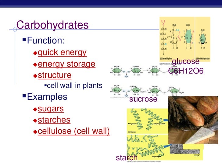 Carbohydrates Organic Chemistry Ppt at Jessica Dell blog
