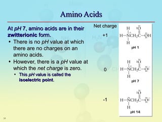 ORGANIC CHEMISTRY PEPTIDES, PROTEINS, AND ENZYZMES | PPT