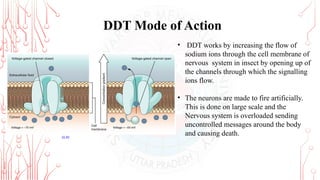 STRUCTURE, APPLICATION AND USES OF DDT, BHC,SACCHARINE, AND CHLORAMINE.pptx