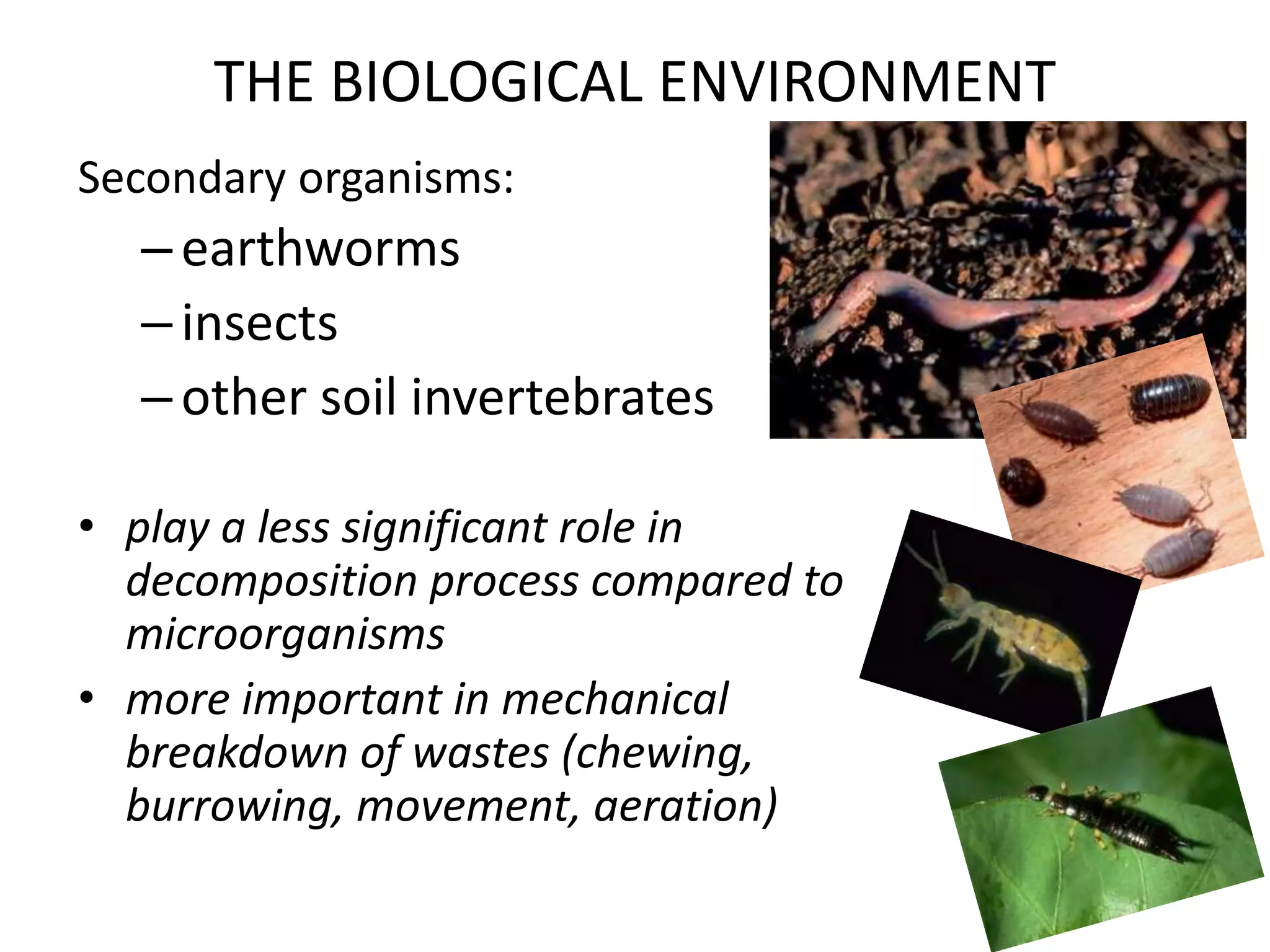Organic composting | PPTX