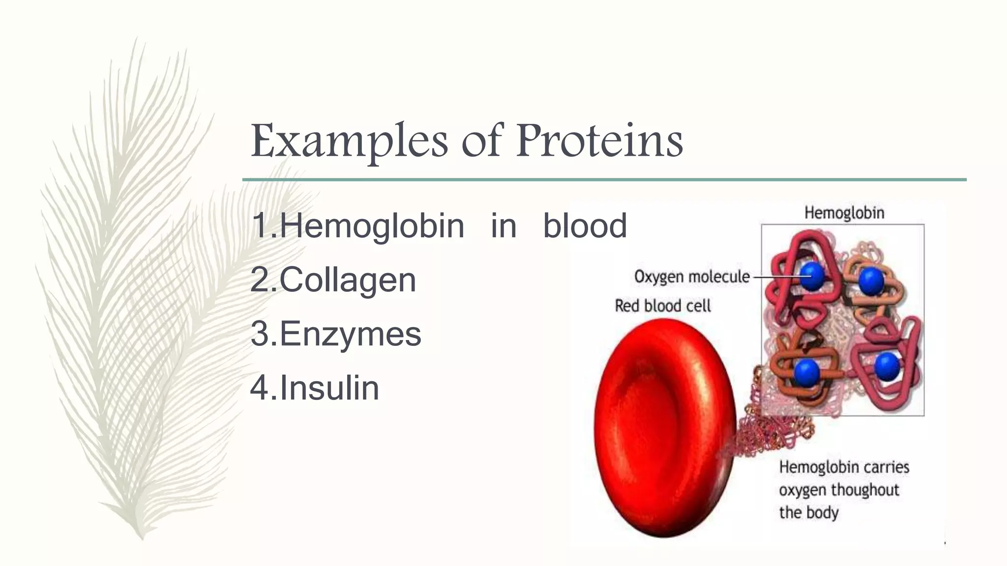 Organic Compounds | PPTX