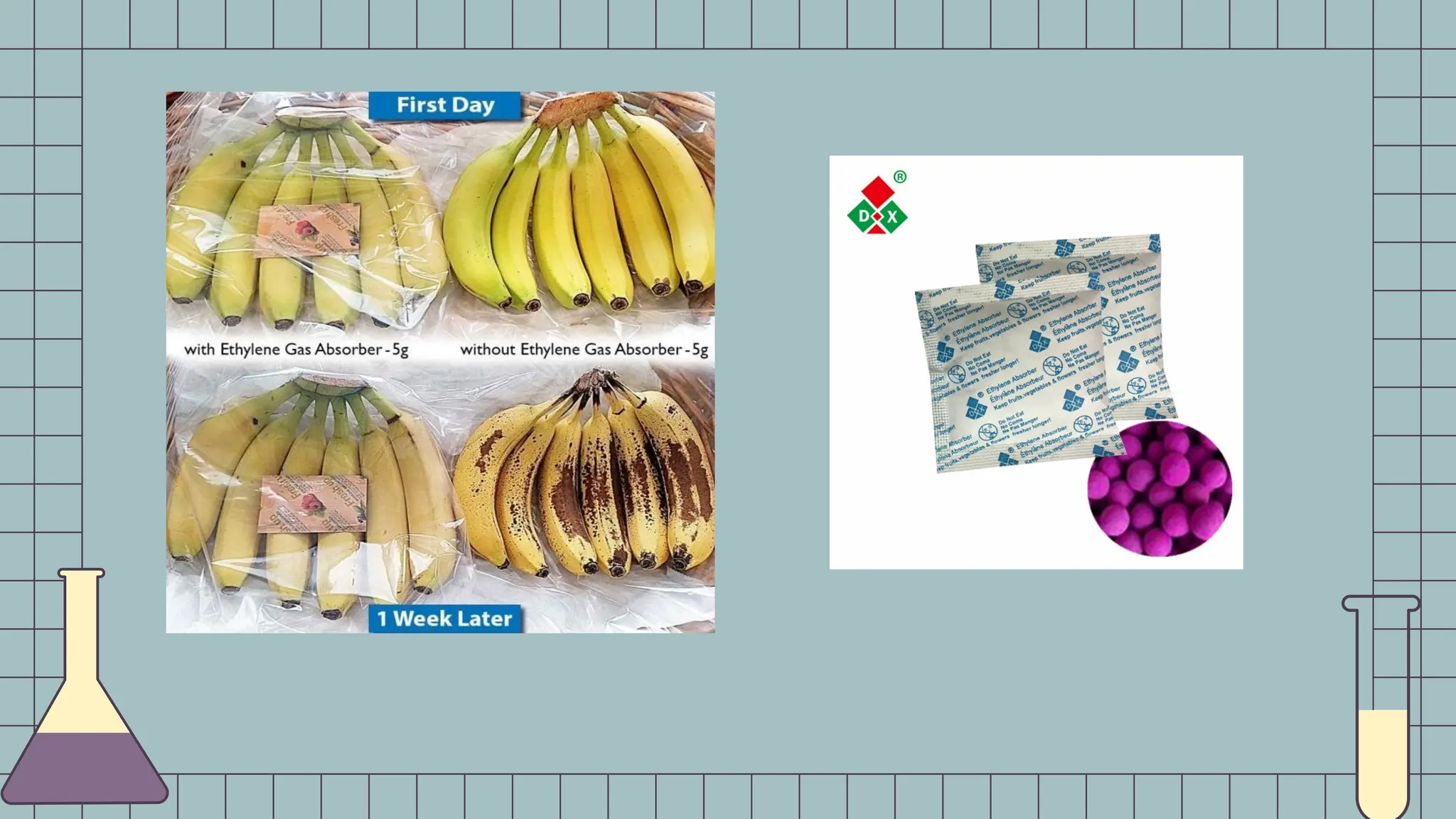 ORGANIC COMPOUNDS GRADE 9 SCIENCE CHEMISTRY.pptx
